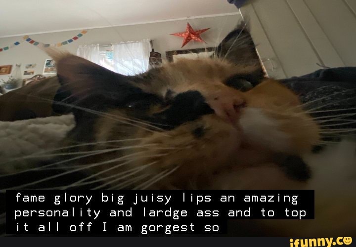 Gorgest memes. Best Collection of funny Gorgest pictures on iFunny