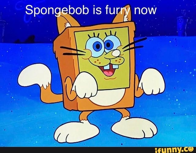 Spongebob is furry now - iFunny