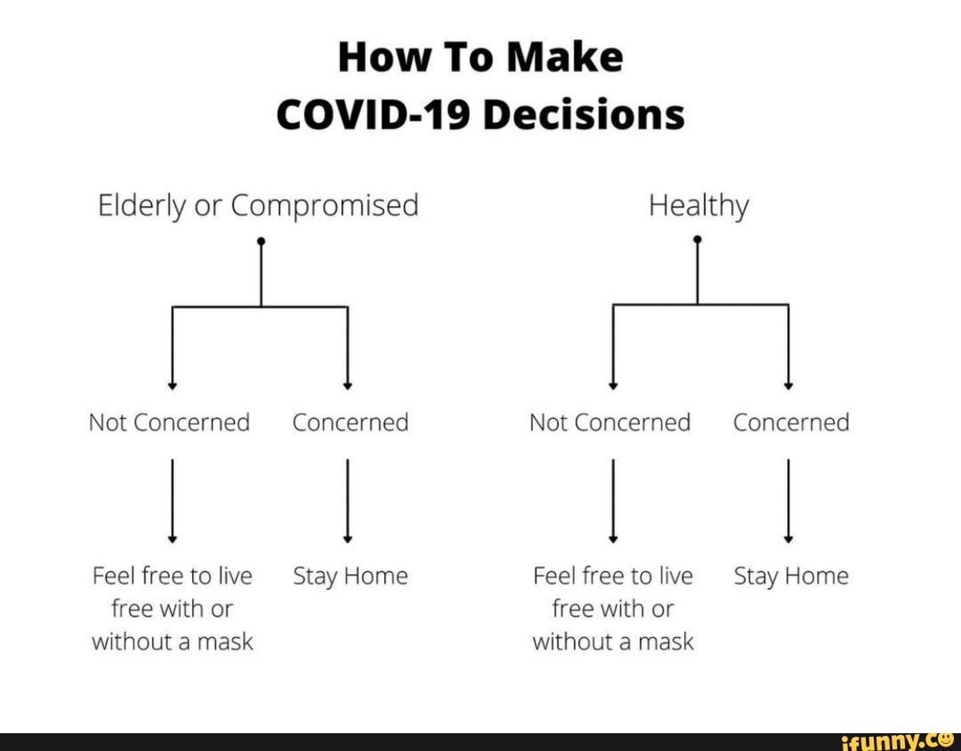 Flow Make Decisions Elderly or Compromised Healthy Not Concerned ...
