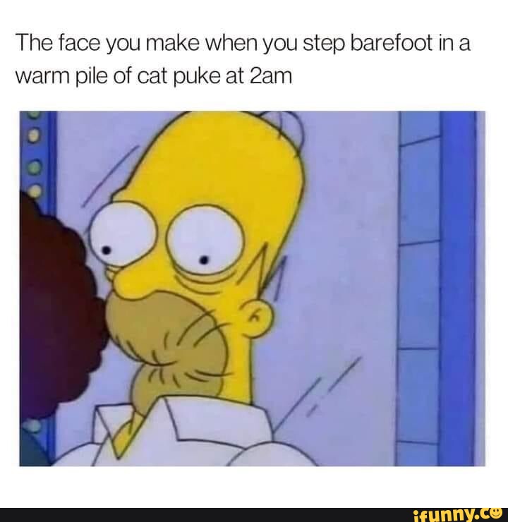 The face you make when you step barefoot ina warm pile of cat puke at ...