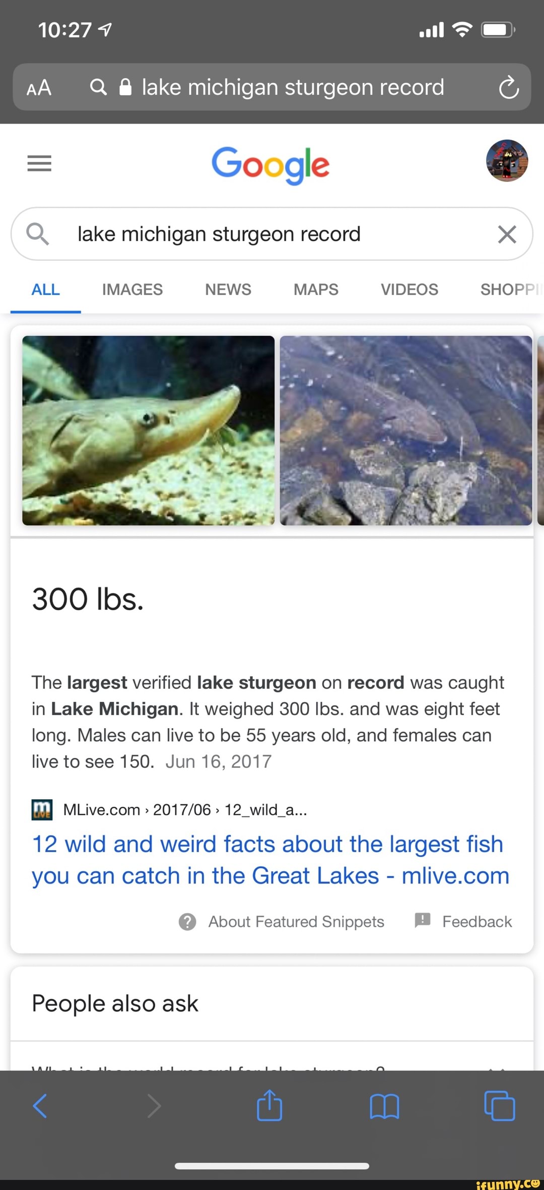 The largest verified lake sturgeon on record was caught in Lake ...