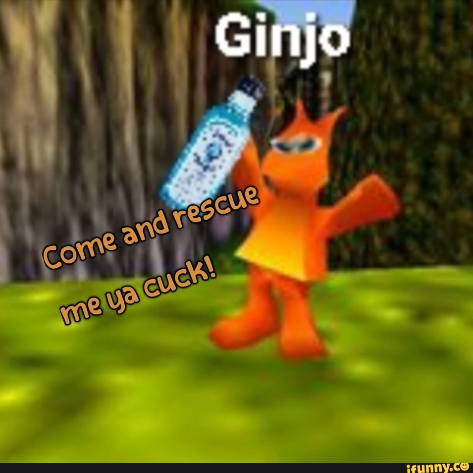 Jinjo memes. Best Collection of funny Jinjo pictures on iFunny