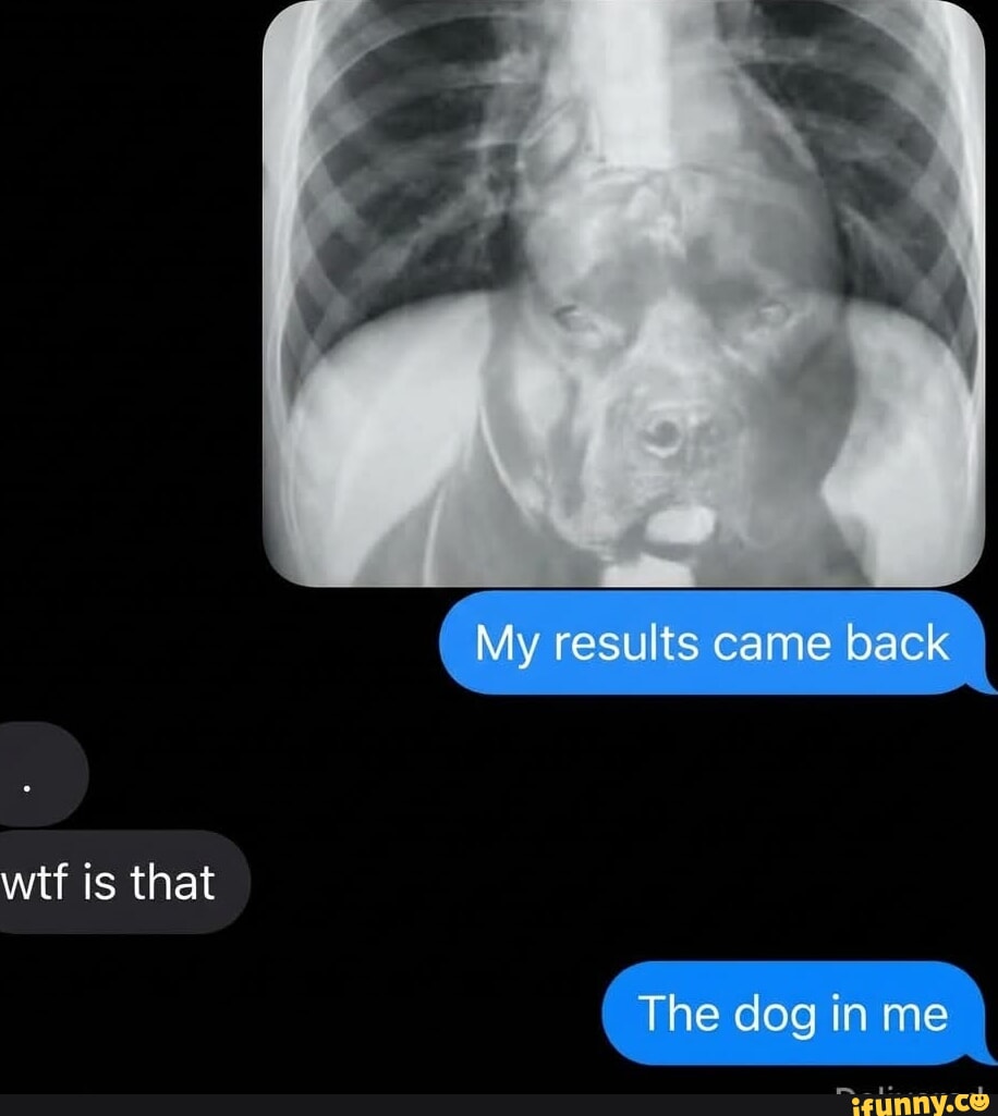 My results came back wtf is that The dog in me - iFunny