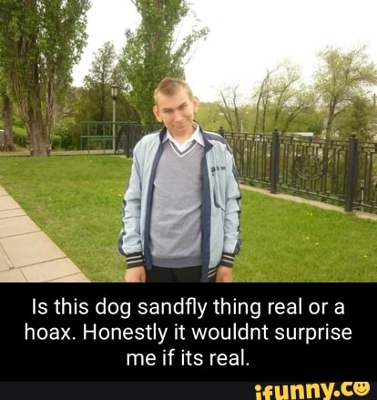 Is this dog sandfly thing real or hoax. Honestly it wouldnt surprise me ...