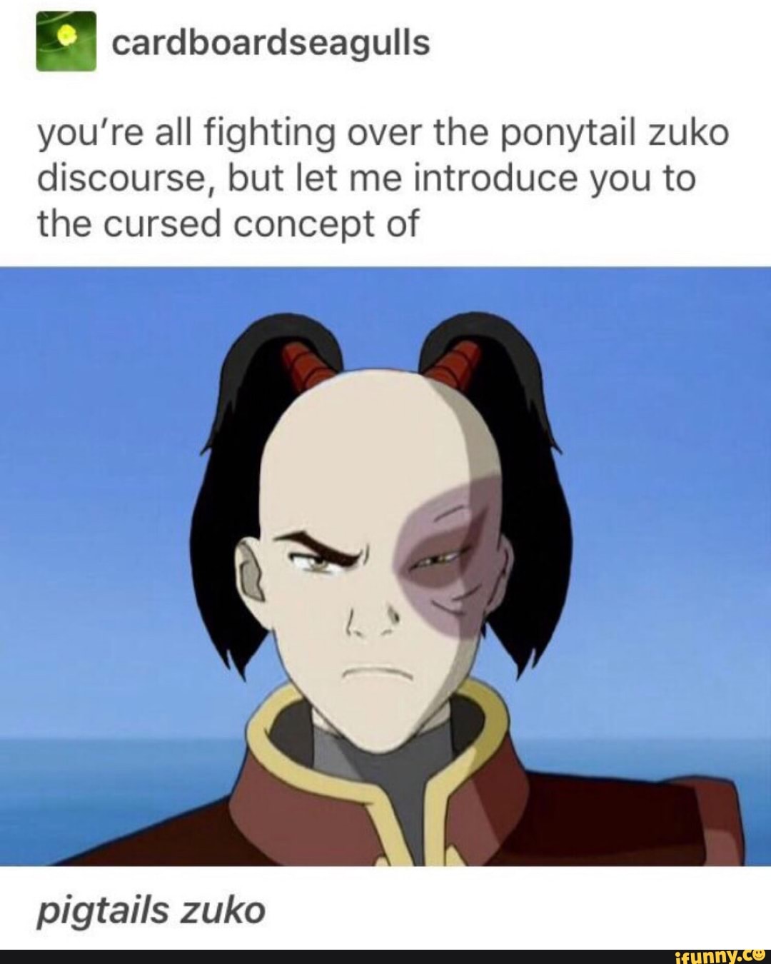 You're all fighting over the ponytail zuko discourse, but let me ...