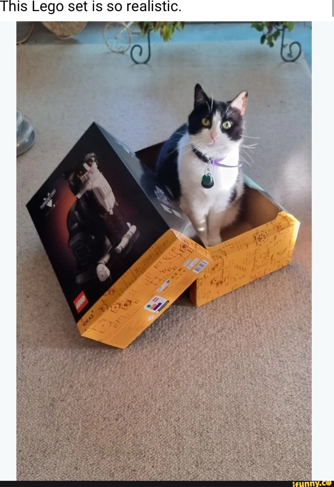 This Korean Statue Depicts A Jesus So Jacked It Looks Like His Last ...