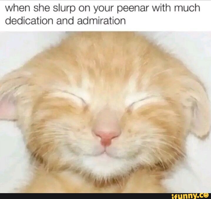 Peenar memes. Best Collection of funny Peenar pictures on iFunny