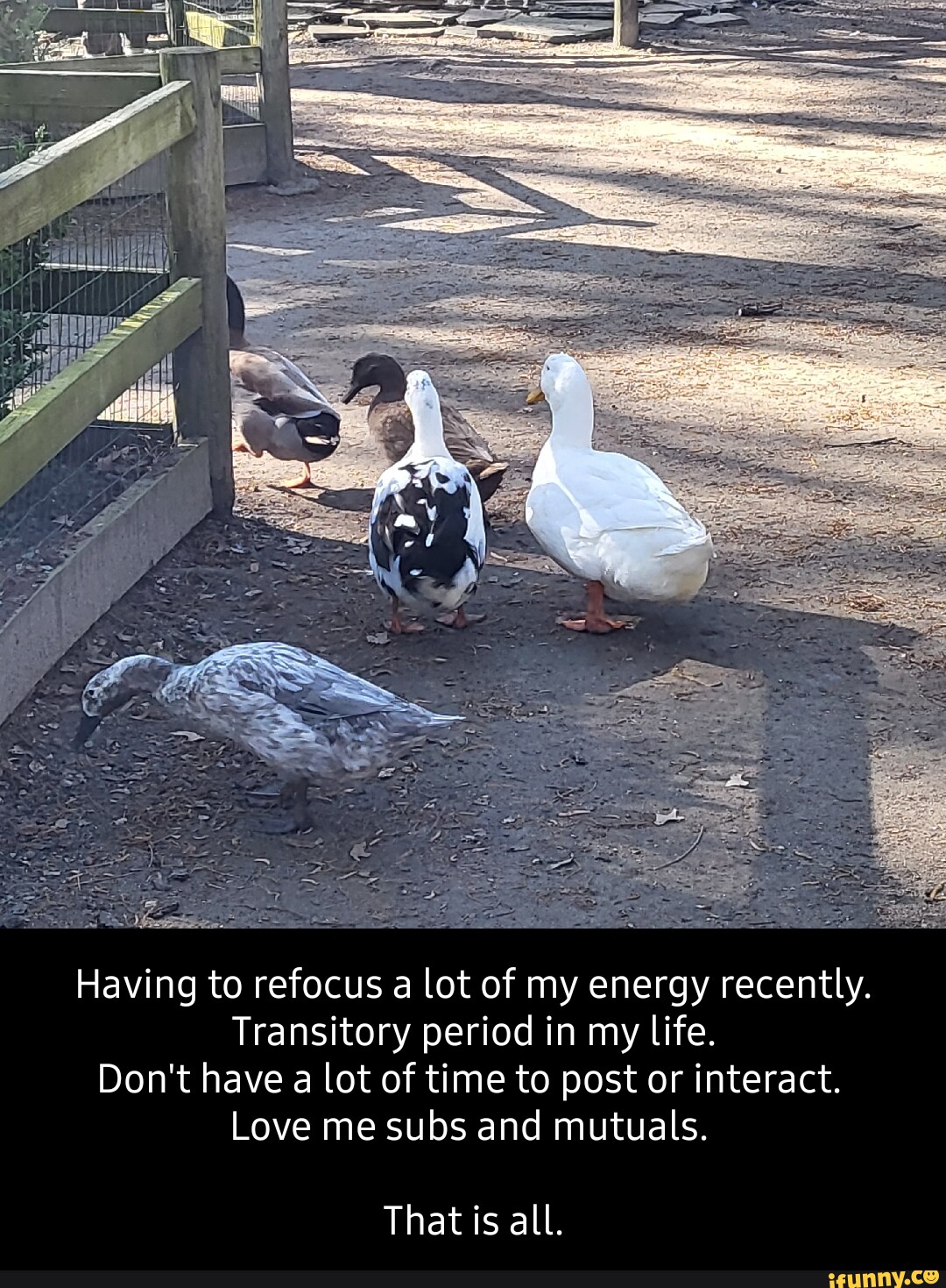 Transitory memes. Best Collection of funny Transitory pictures on iFunny