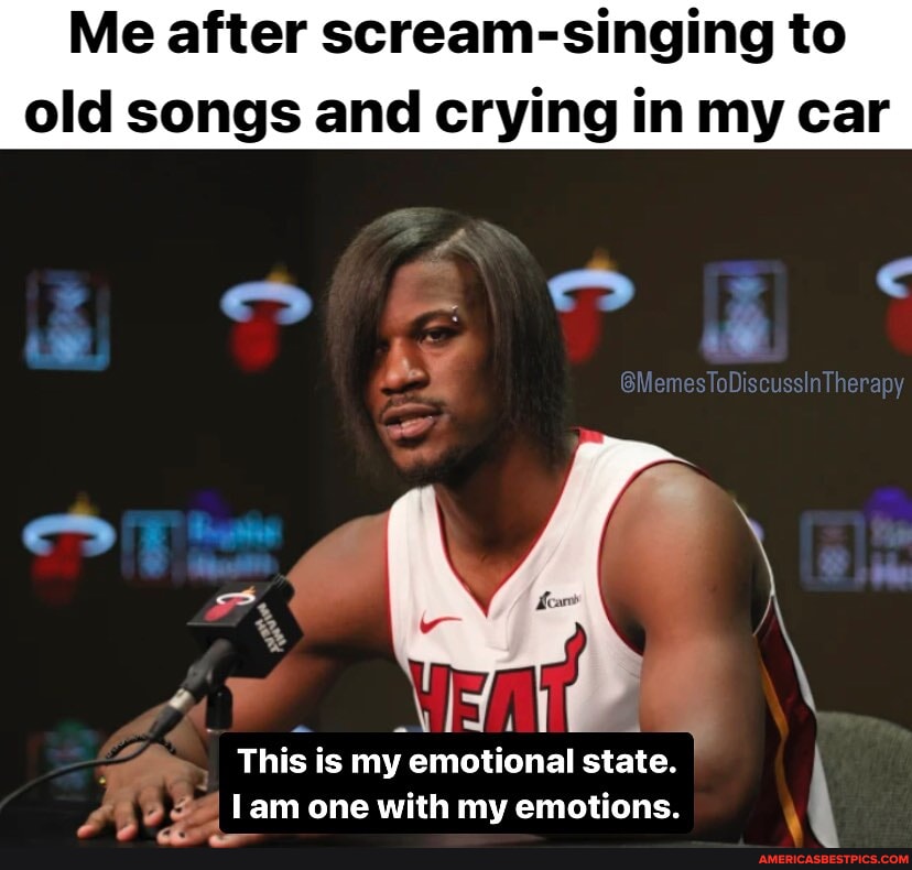 N/A - Me after scream-singing to old songs and crying in my car ...