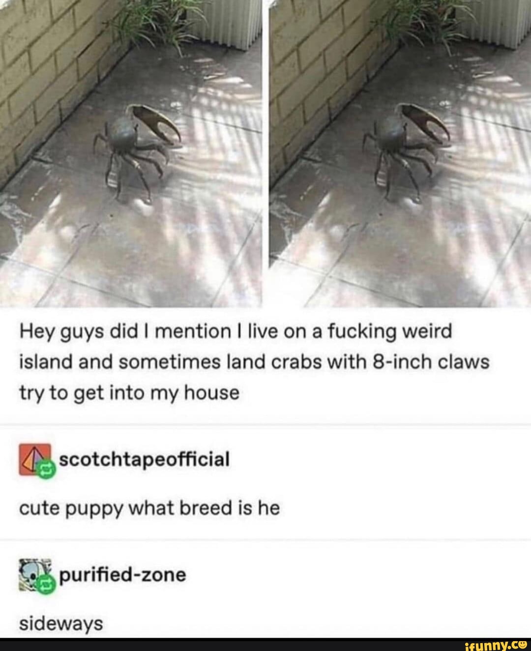 Sideways memes. Best Collection of funny Sideways pictures on iFunny