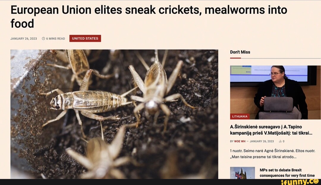 Mealworms memes. Best Collection of funny Mealworms pictures on iFunny