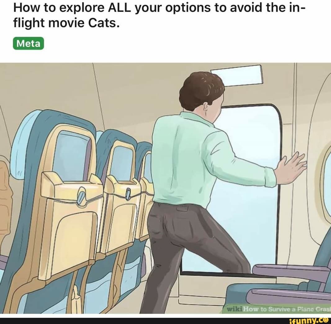 How to explore ALL your options to avoid the in- flight movie Cats ...