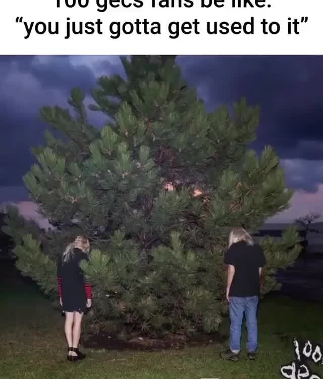 100 gecs fans be like: "you just gotta get used to it" - )