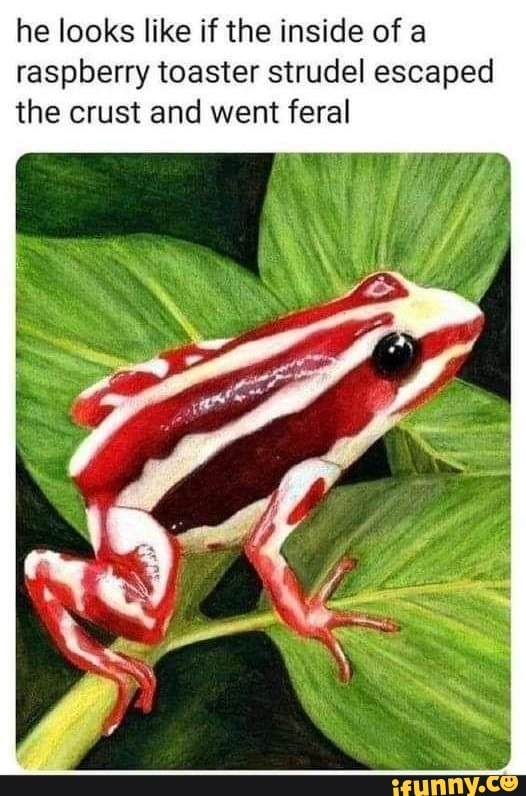 He looks like if the inside of a raspberry toaster strudel escaped the crust and went feral - iFunny
