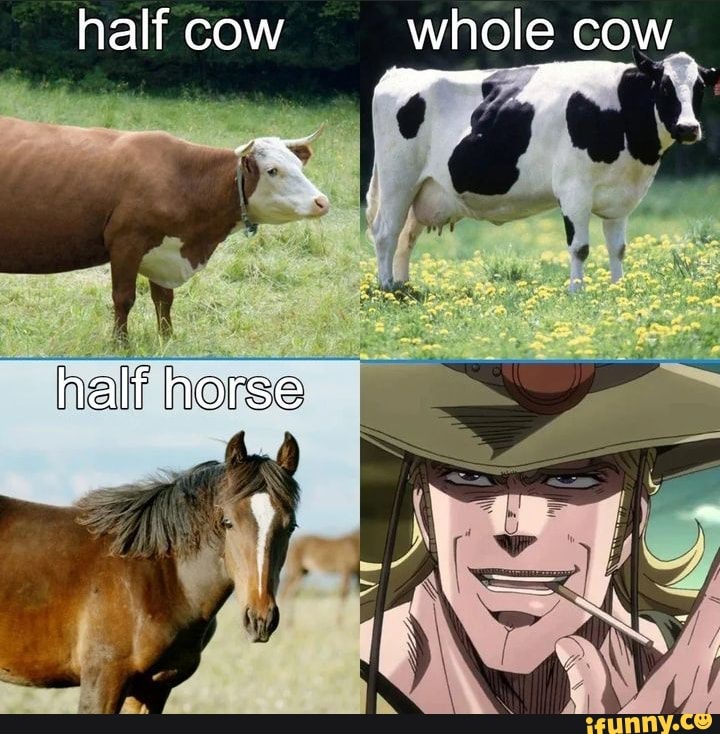 Half cow whole cow. ae 4 half horse - iFunny Brazil