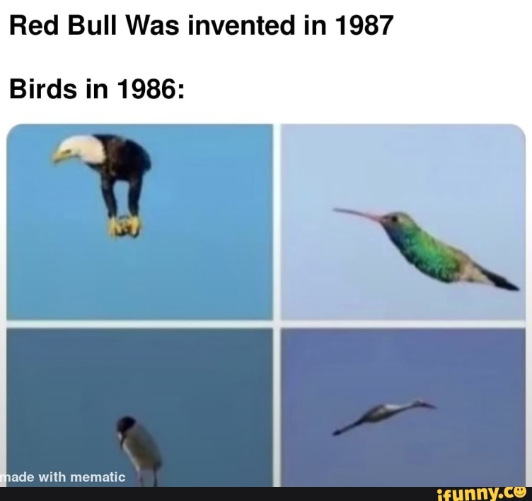 Red Bull Was invented in 1987 Birds in 1986: jade with mematic - iFunny