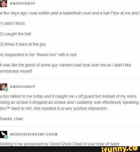 Finch memes. Best Collection of funny Finch pictures on iFunny