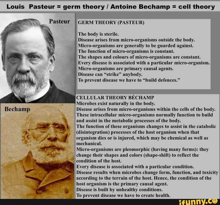 Louis Pasteur = germ theory / Antoine Bechamp = cell theory GERM THEORY ...