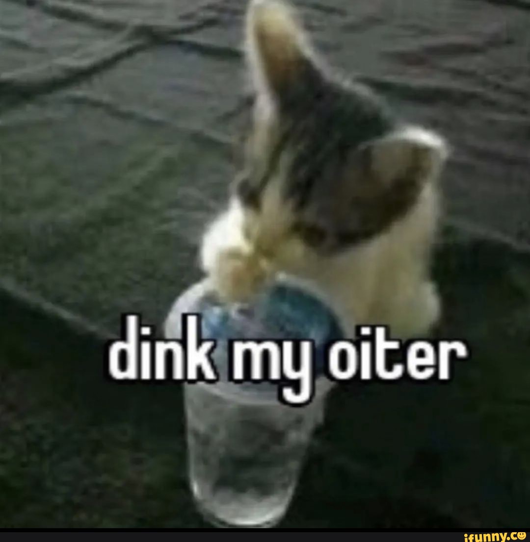 Dink my oiter - iFunny