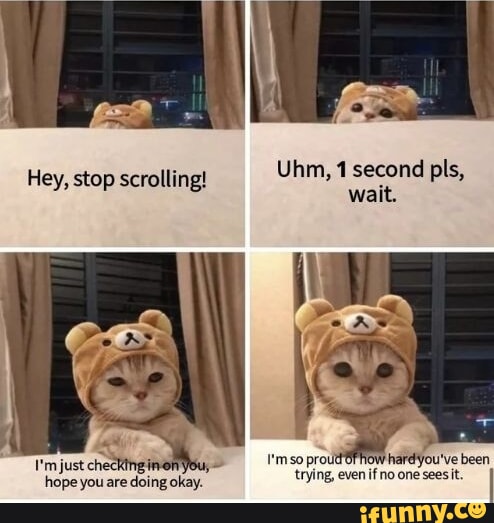 Uhm, 1 second pls, wait. Hey, stop scrolling! I'm so proud how hardyou've been I'm cheeking ...