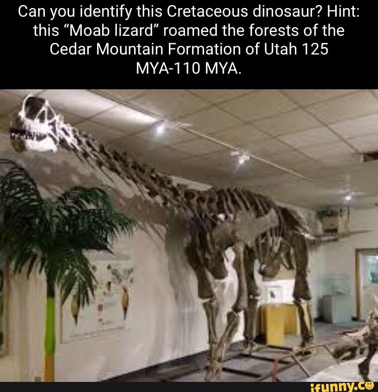 Can you identify this Cretaceous dinosaur? Hint: this "Moab lizard ...