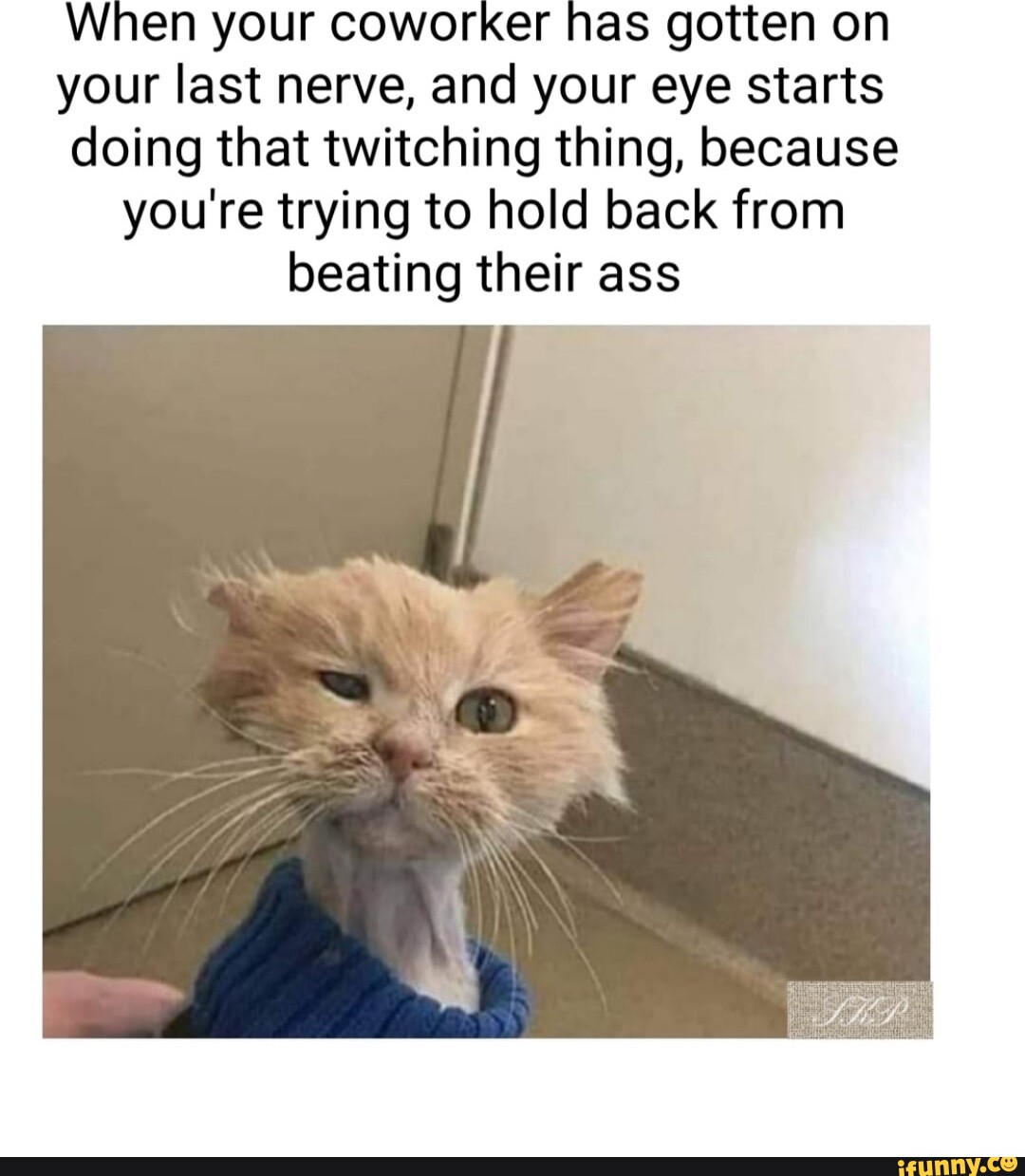 When your coworker has gotten on your last nerve, and your eye starts ...