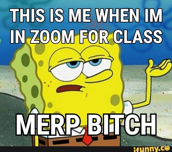 THIS IS ME WHEN IM IN ZOOM FOR CLASS MERP. BITCH - iFunny