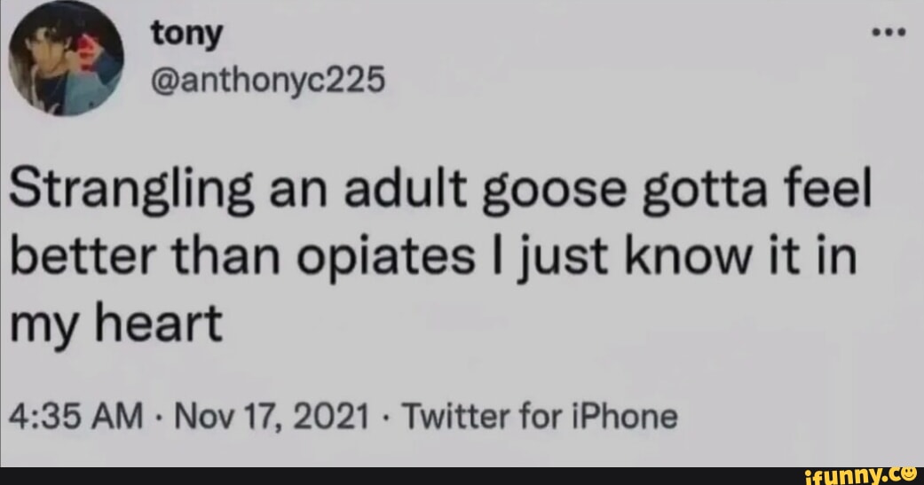 Strangling an adult goose gotta feel better than opiates I just know it ...