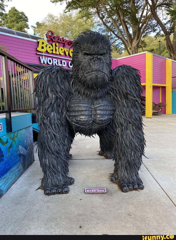 Gigantopithecus memes. Best Collection of funny Gigantopithecus ...