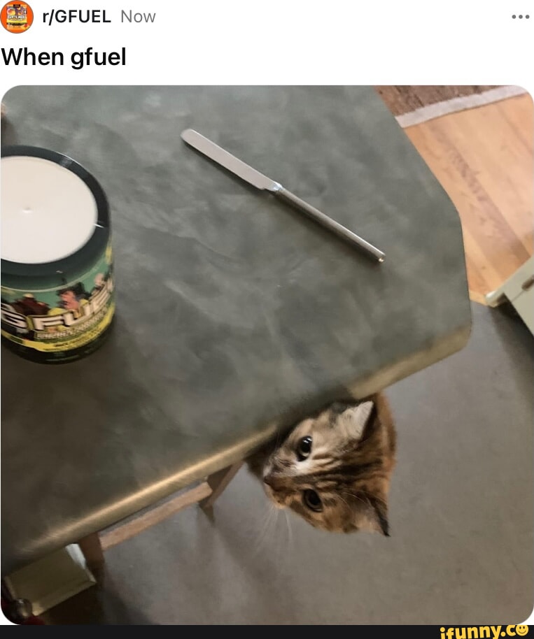 Gfuel memes. Best Collection of funny Gfuel pictures on iFunny