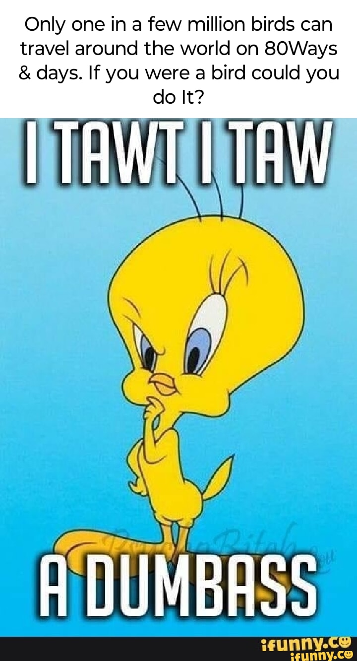 Tawt memes. Best Collection of funny Tawt pictures on iFunny