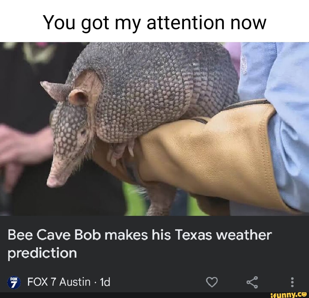 You got my attention now Bee Cave Bob makes his Texas weather ...