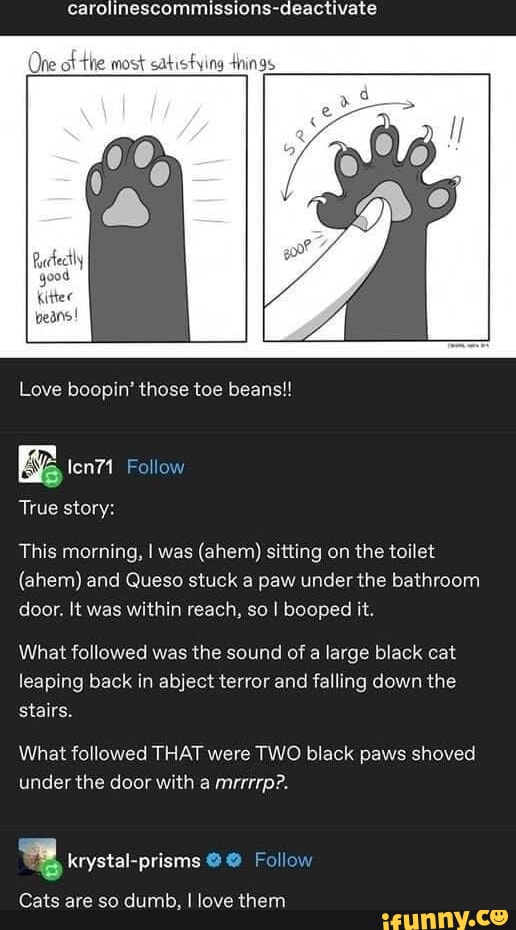 Booped memes. Best Collection of funny Booped pictures on iFunny