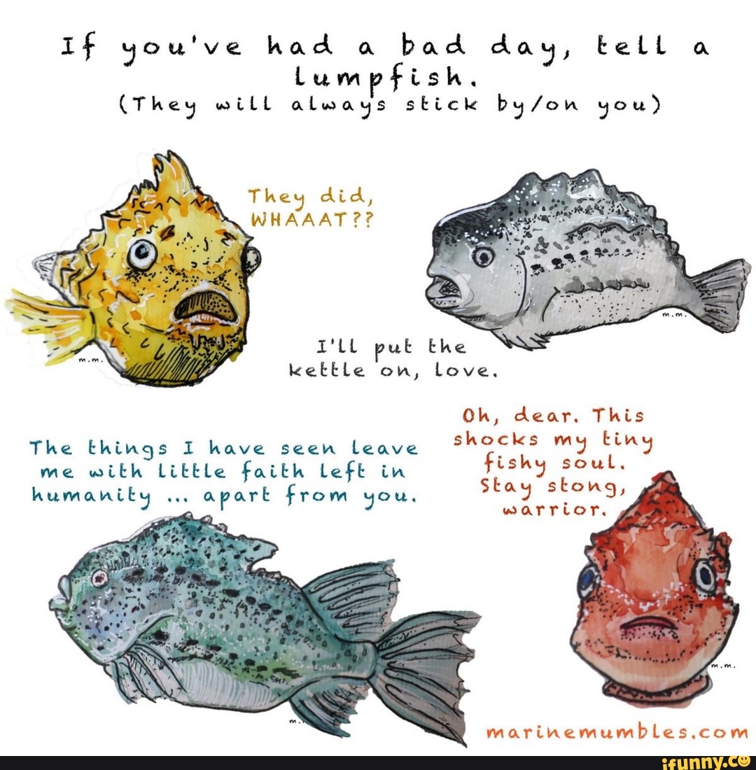 If you've had a bad day, tell a Lumpfish. (They will always stick you ...