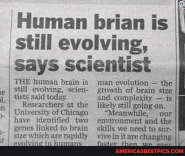 Human brian is still evolving, says scientist 'THE human brain is still ...