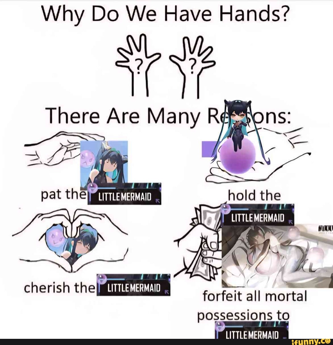 Why Do We Have Hands? There Are Many Regefons: hold the cherish the ...