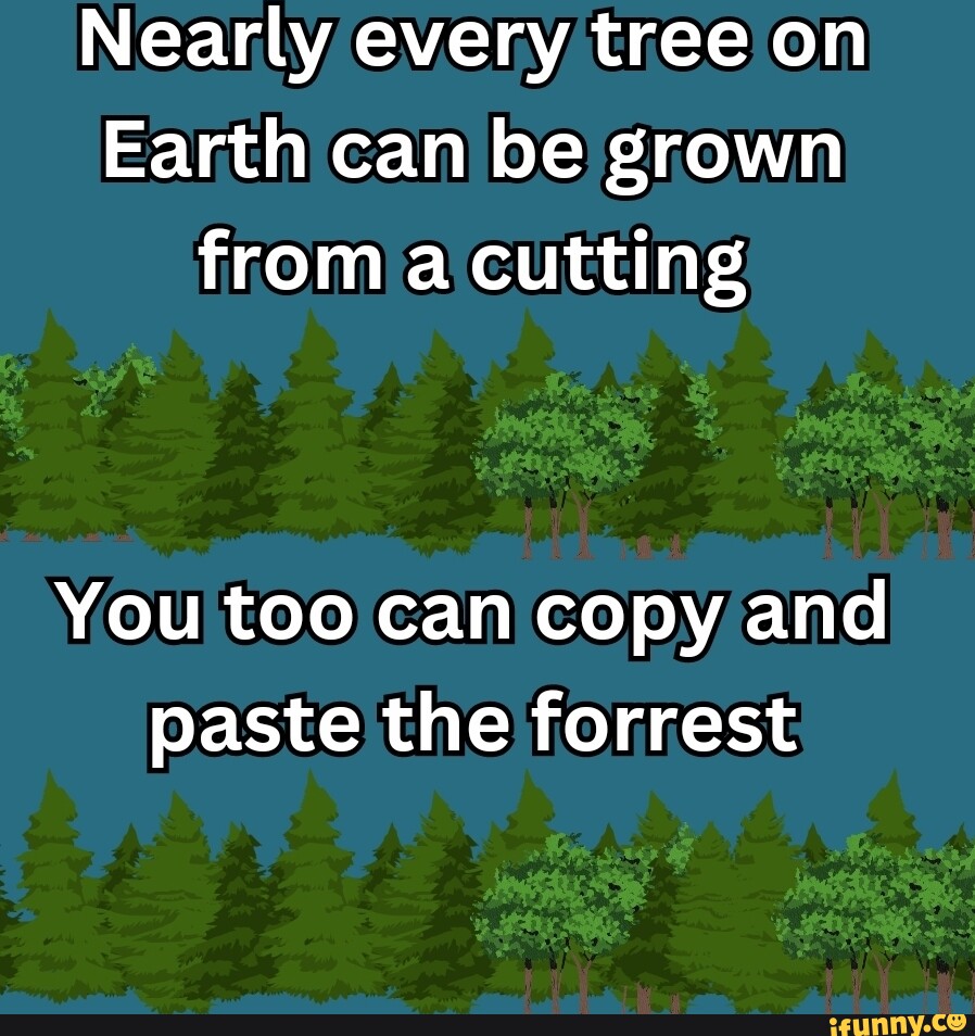 Forrest Gump memes memes. The best memes on iFunny