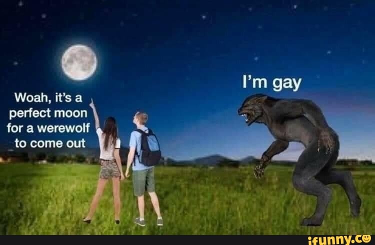 Woah, it's a perfect moon for a werewolf to come out I'm gay b & - iFunny