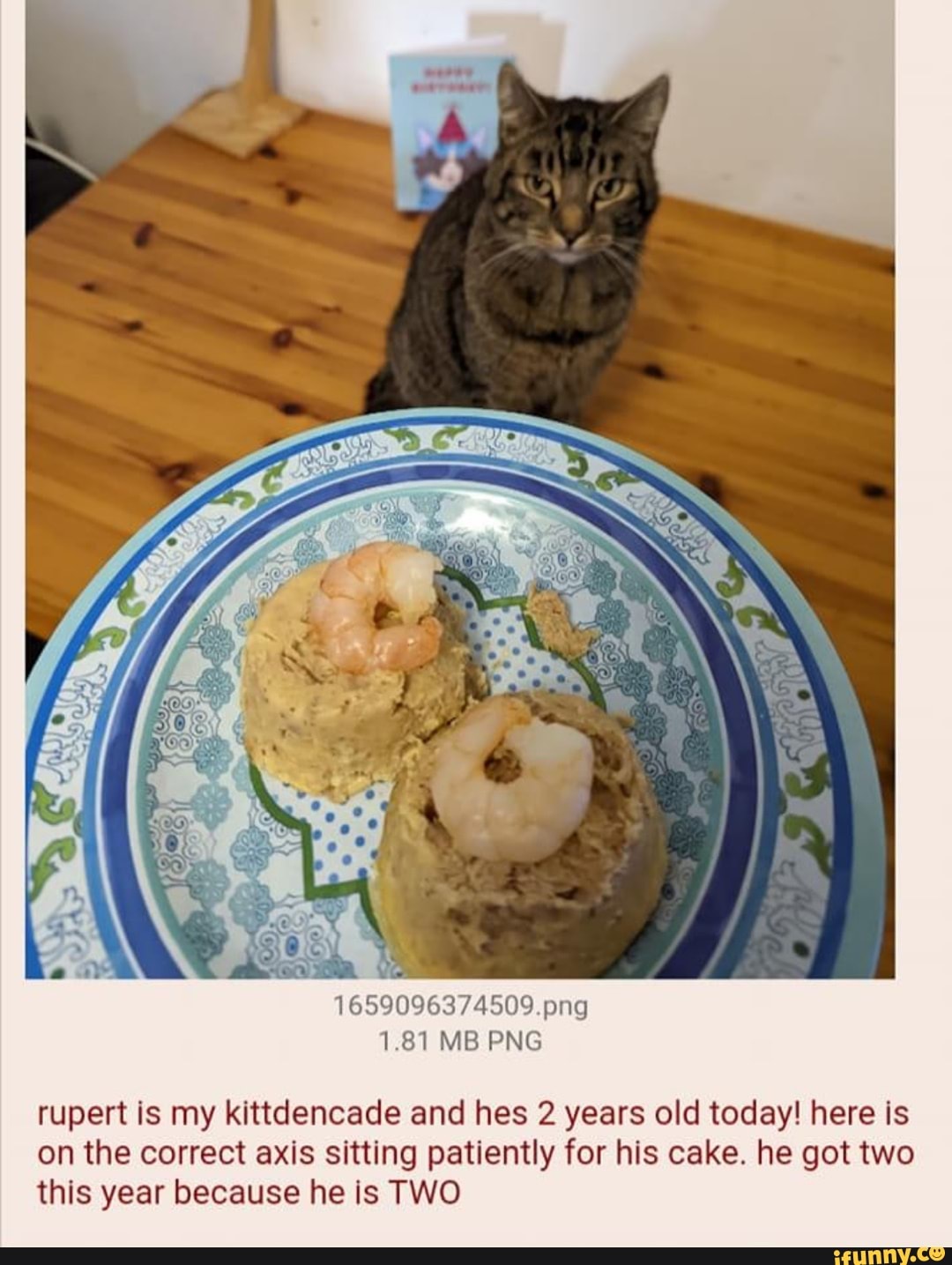 1659096374509.png 1.81 MB PNG rupert is my kittdencade and hes 2 years ...