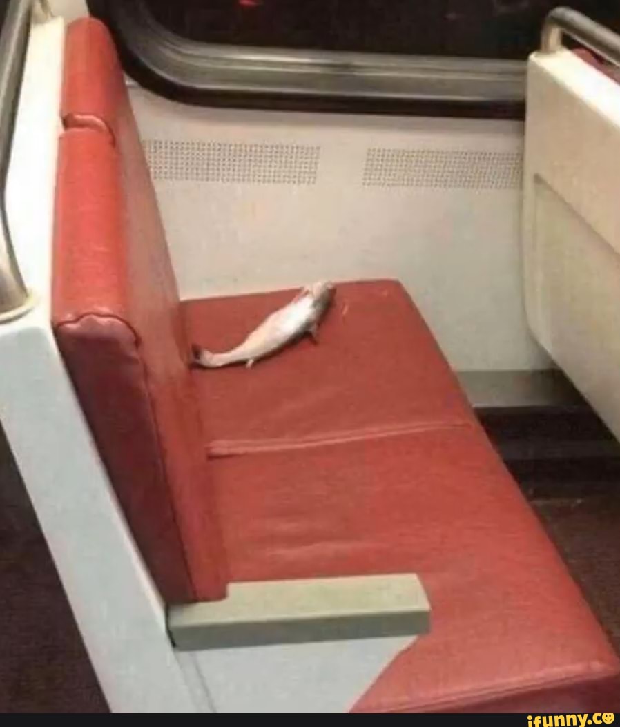 Traintrack memes. Best Collection of funny Traintrack pictures on iFunny