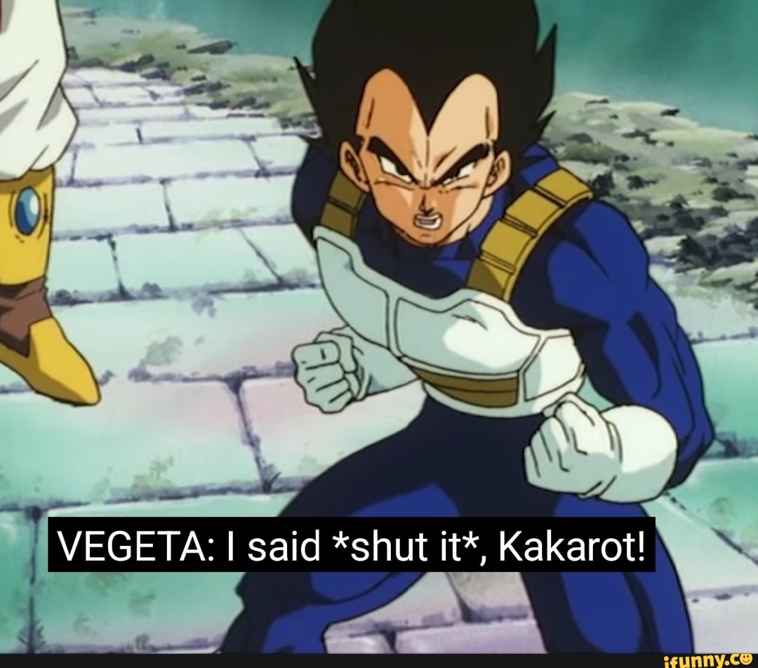 Shutit memes. Best Collection of funny Shutit pictures on iFunny