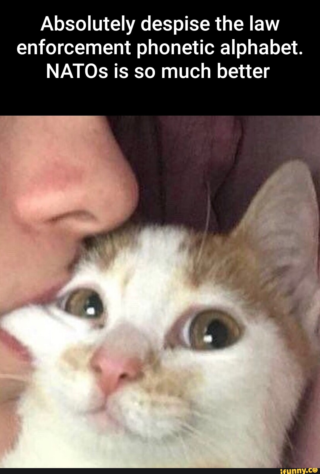 Phonetic memes. Best Collection of funny Phonetic pictures on iFunny Phonetic memes. Best Collection of funny Phonetic pictures on iFunny