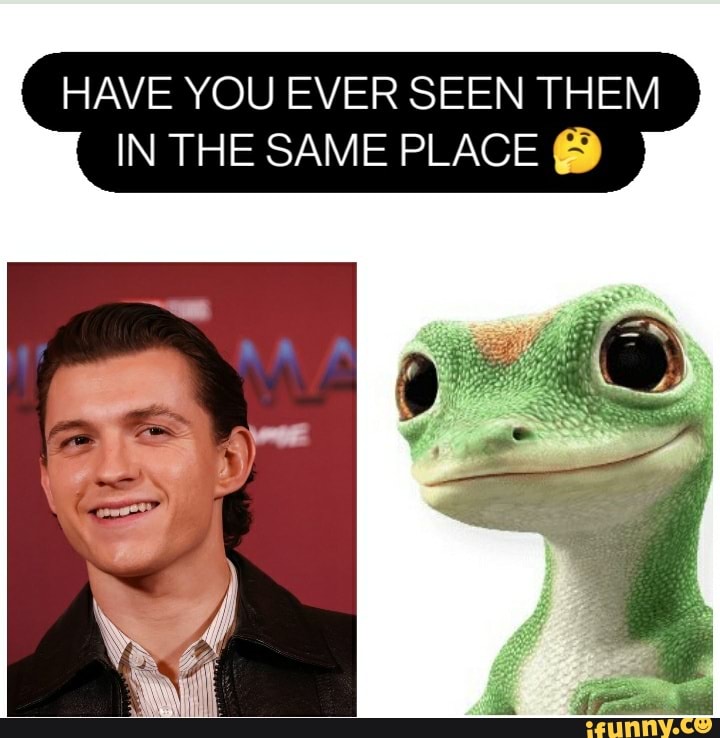HAVE YOU EVER SEEN THEM IN THE SAME PLACE - iFunny