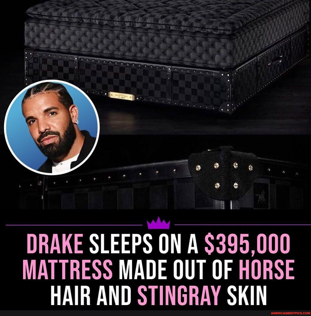 $395k 😂 - DRAKE SLEEPS ON A $395,000 MATTRESS MADE OUT OF HORSE HAIR ...