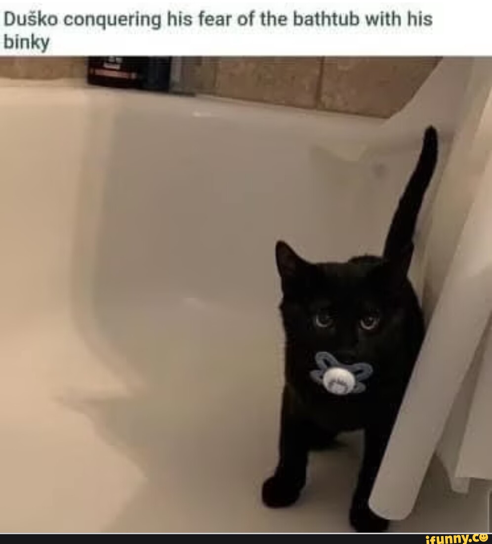 Dusko conquering his fear of the bathtub with his binky - iFunny