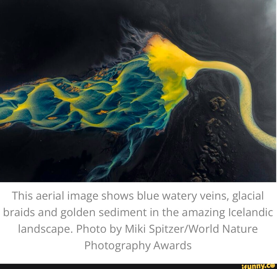 Sediment memes. Best Collection of funny Sediment pictures on iFunny