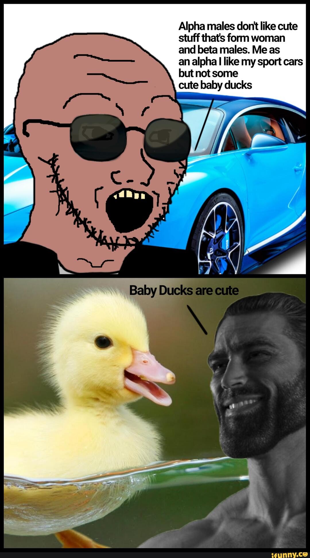 Alpha males dont like cute stuff that's form woman and beta males. Me ...