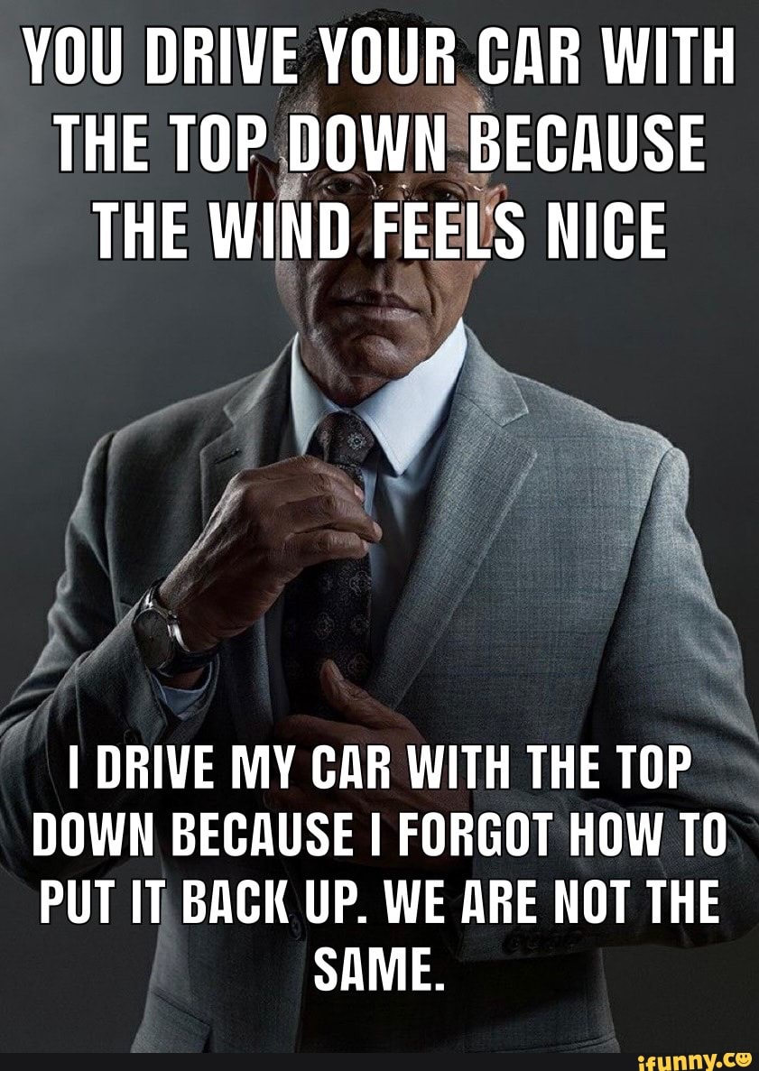 So, on this cat-scale, how do you feel today? ON - )