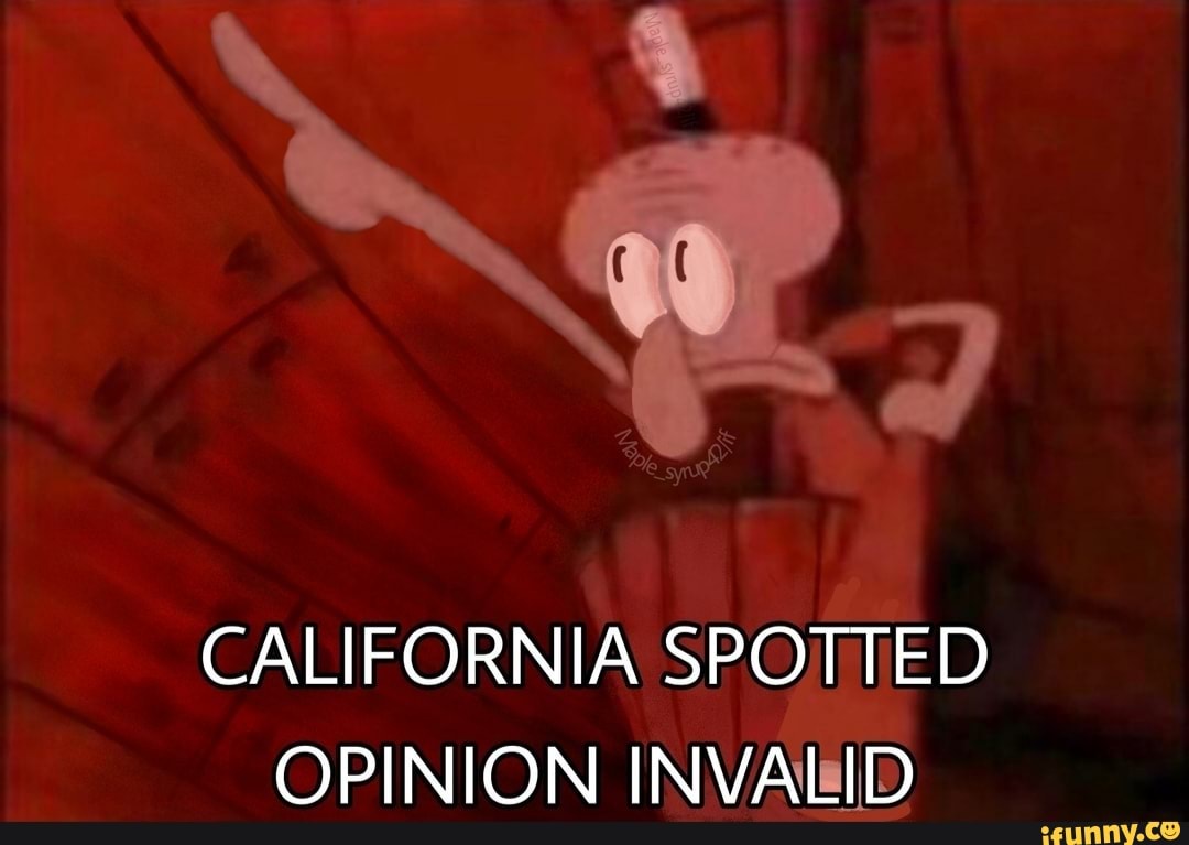CALIFORNIA SPOTTED OPINION INVALID - iFunny