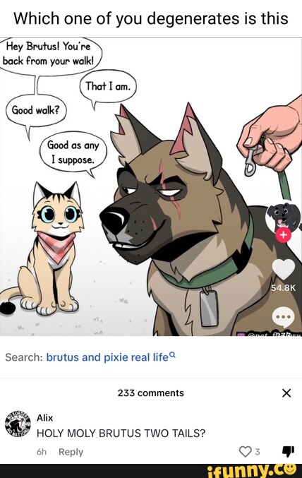 Brutus memes. Best Collection of funny Brutus pictures on iFunny